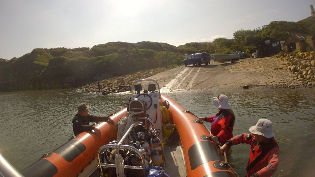 The Black Bream Project | Field Notes