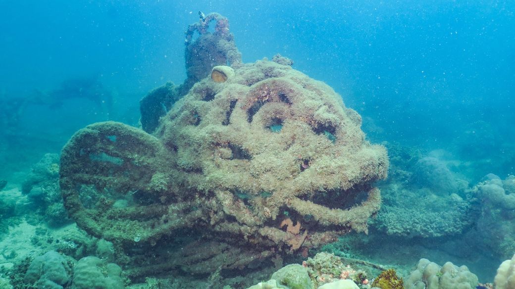 Bali's Biorock Reef Restoration: Integrating Technology, Science, and ...