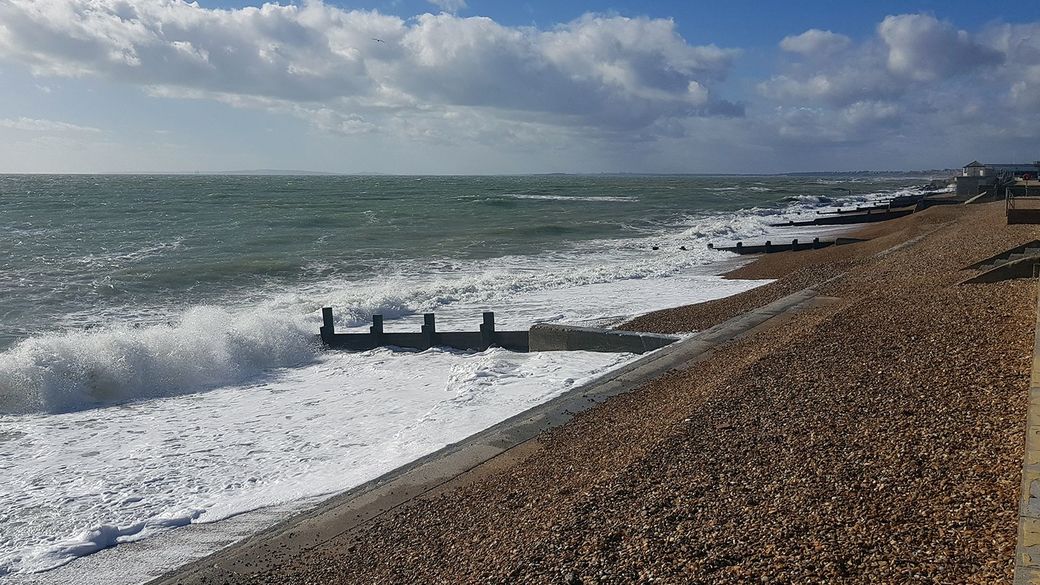 The Black Bream Project | Field Notes