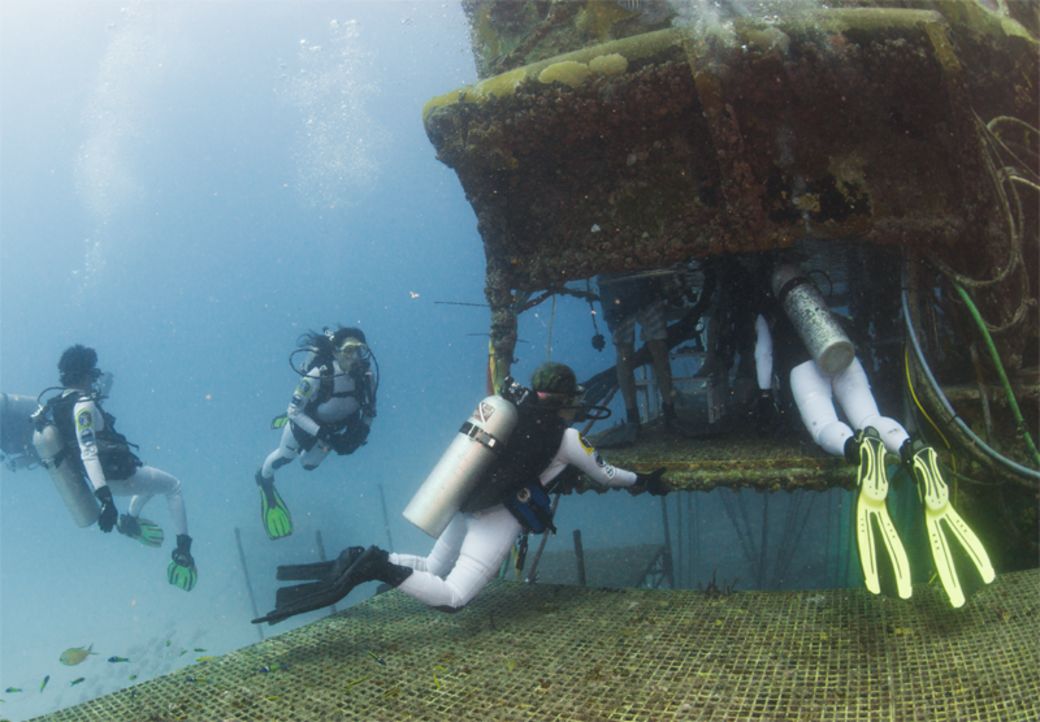 Living Underwater | Field Notes