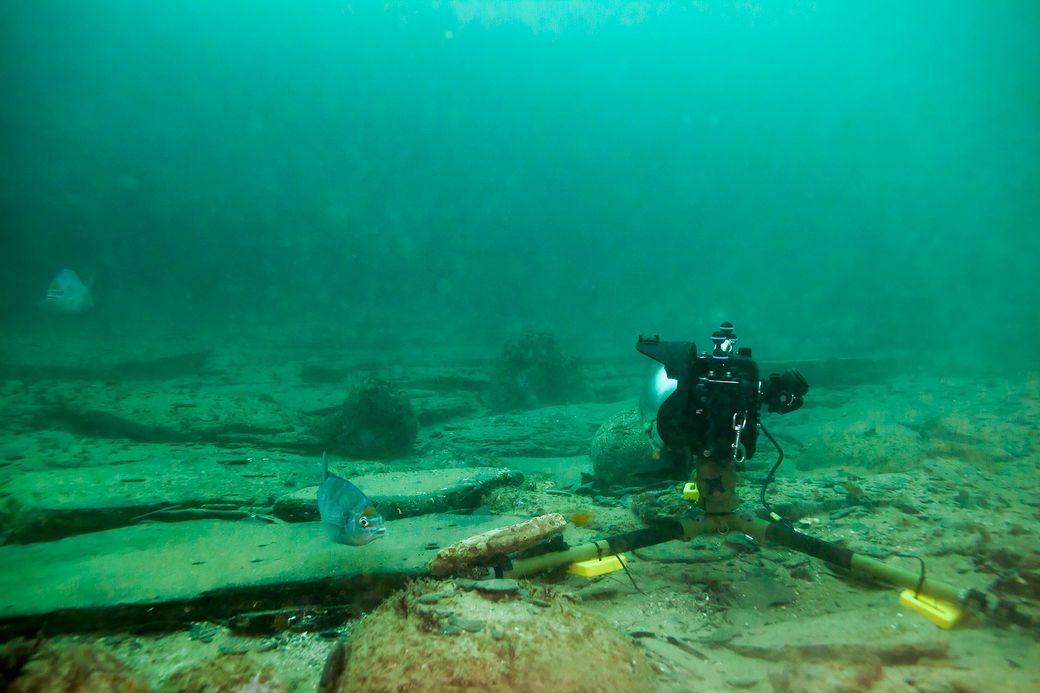 The Black Bream Project | Field Notes