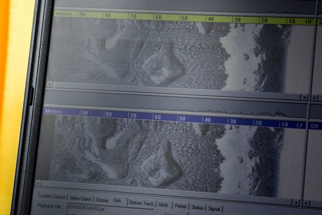 The Black Bream Project | Field Notes