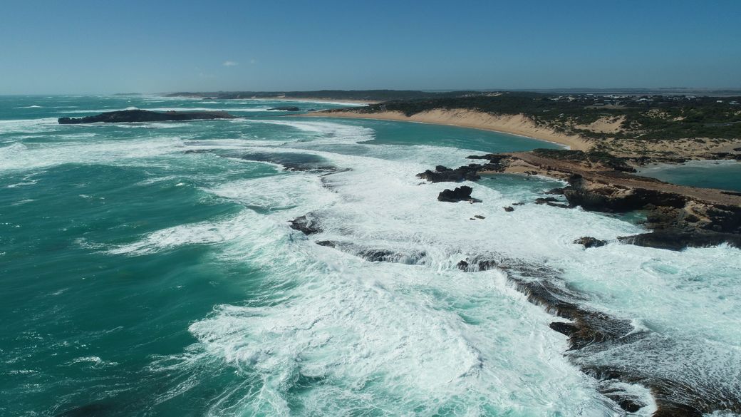 Great Southern Reef | Field Notes