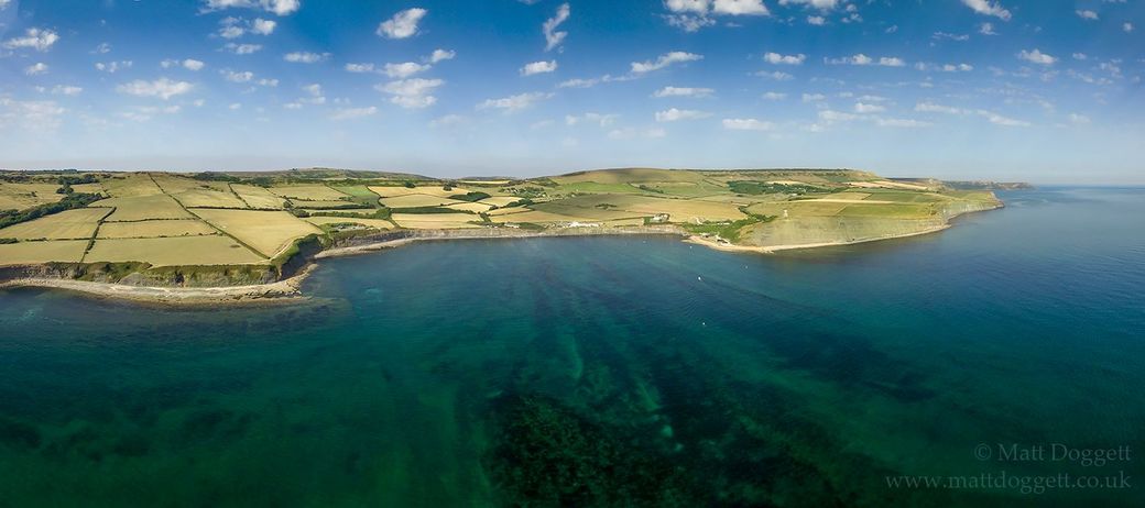 The Black Bream Project | Field Notes