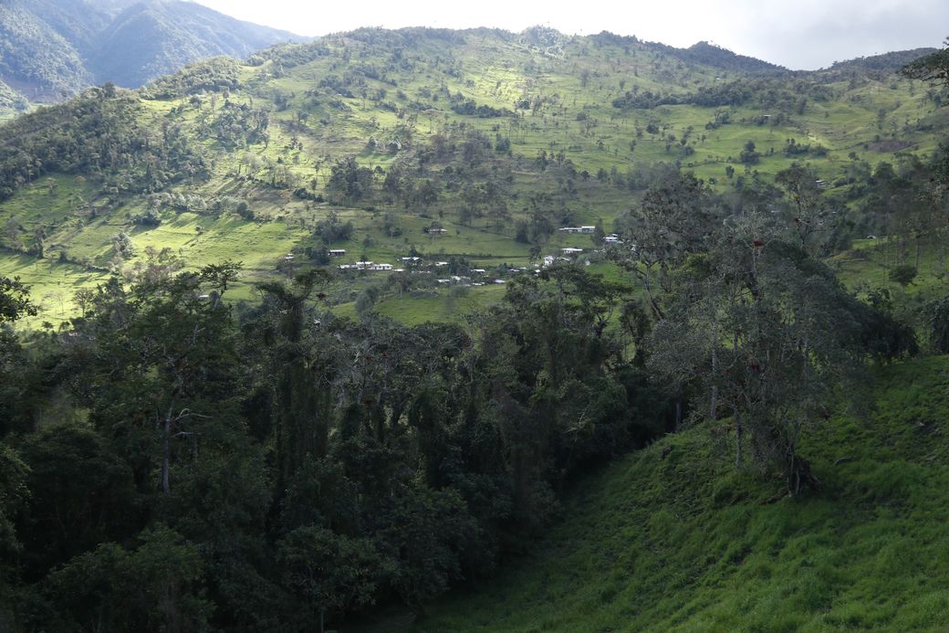 Tracking Andean Birds | Field Notes
