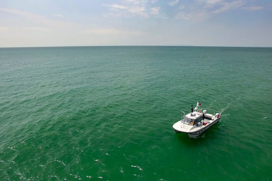 The Black Bream Project | Field Notes