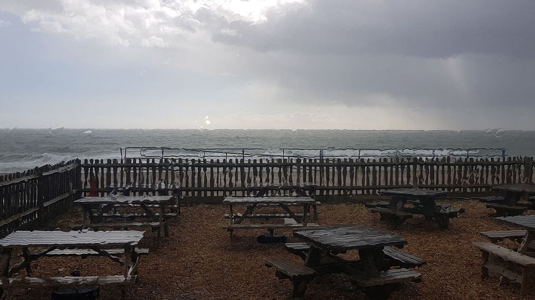 The Black Bream Project | Field Notes