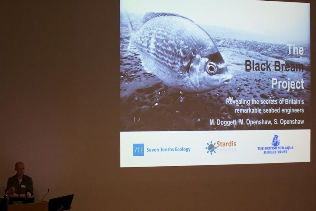 The Black Bream Project | Field Notes